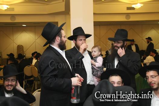 L’Chaim: Scharf – Fajnland | CrownHeights.info – Chabad News, Crown ...